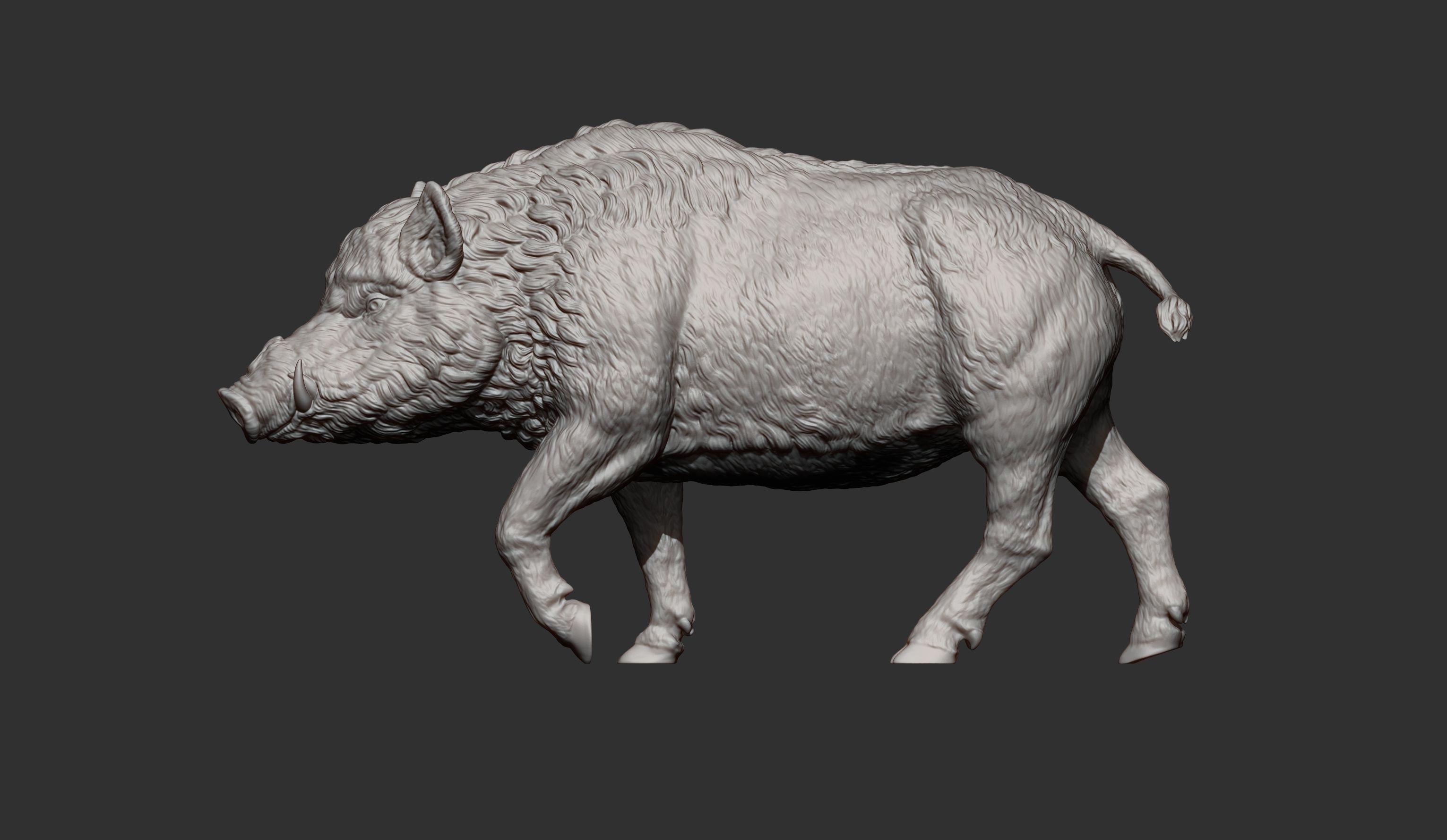 A wild boar 3D model 3D printable | CGTrader
