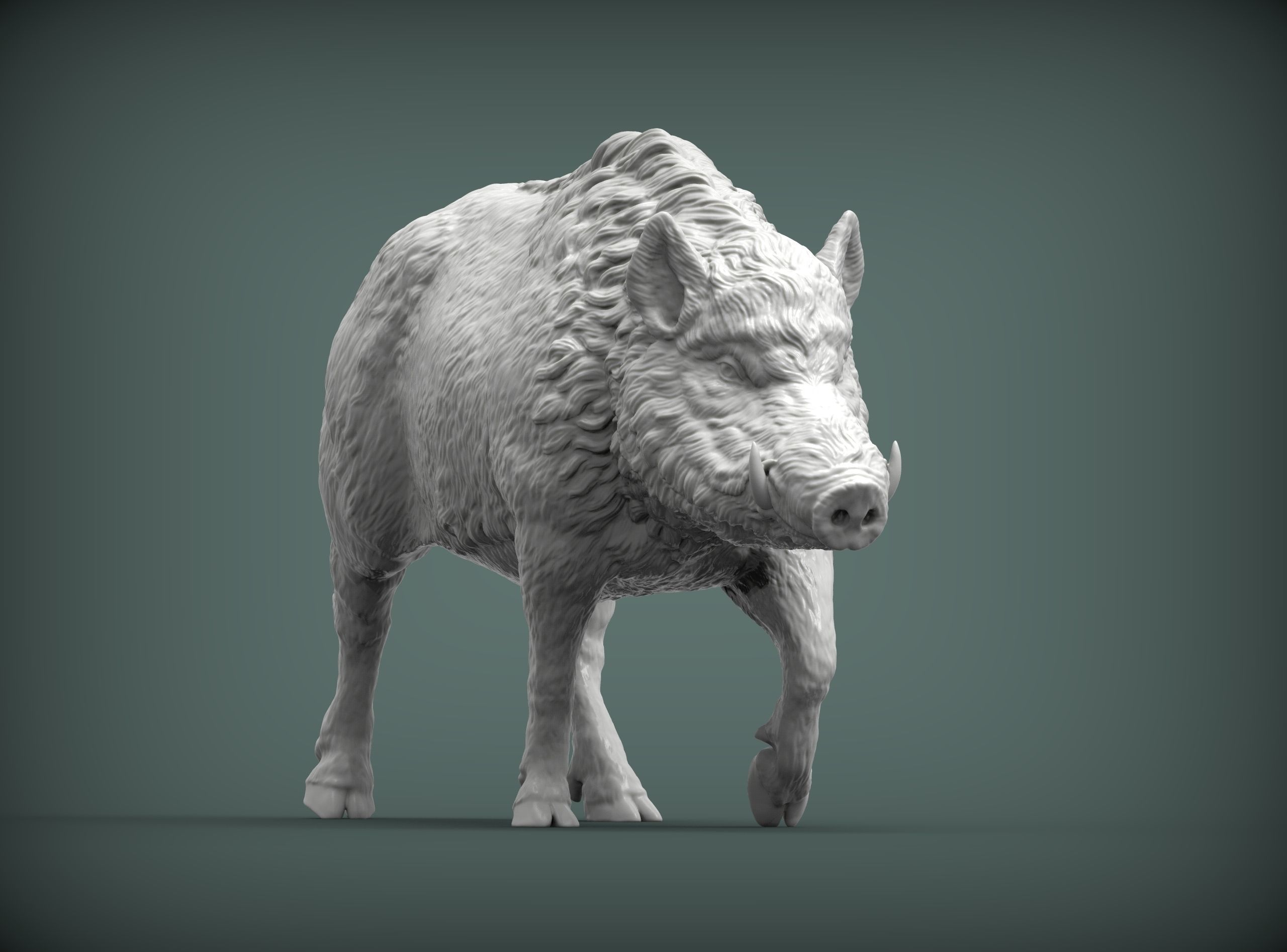 A wild boar 3D model 3D printable | CGTrader