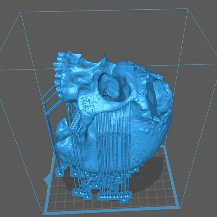EVIL SKULL LAMP 3D model 3D printable | CGTrader