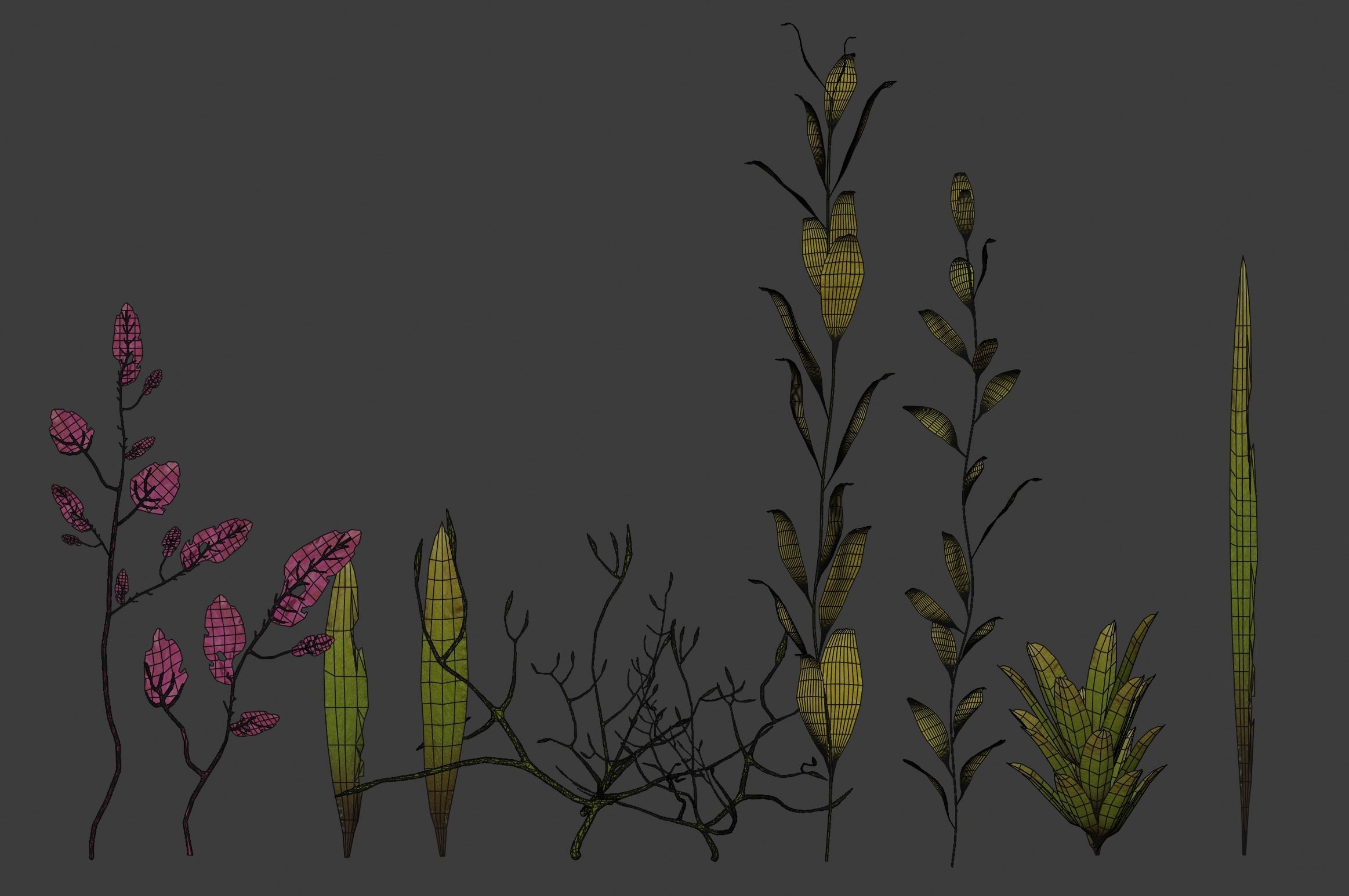 3D model Seaweed collection plants in water VR / AR / low-poly | CGTrader