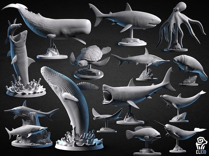 Animals - Ocean Wildlife 3D model 3D printable | CGTrader