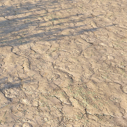 Texture Mrf Ground Mud01 VR / AR / low-poly | CGTrader