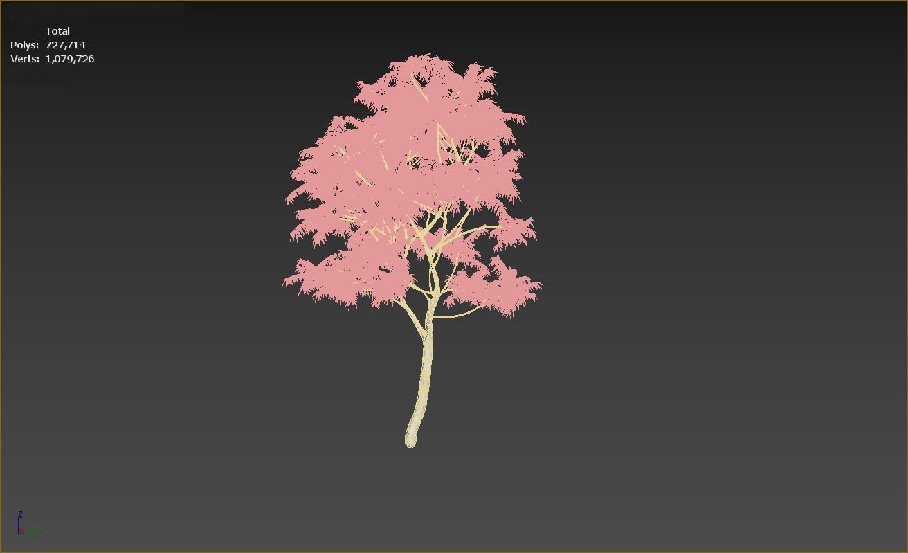 Japanese Walnut Tree free 3D model | CGTrader