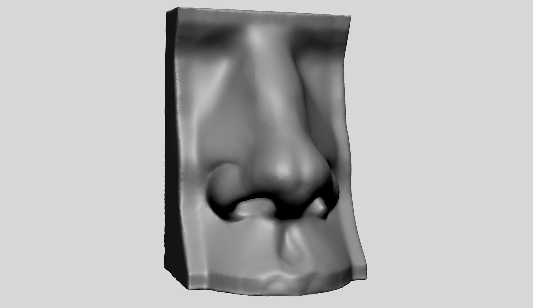 Nose Model with Different Types 3D model | CGTrader