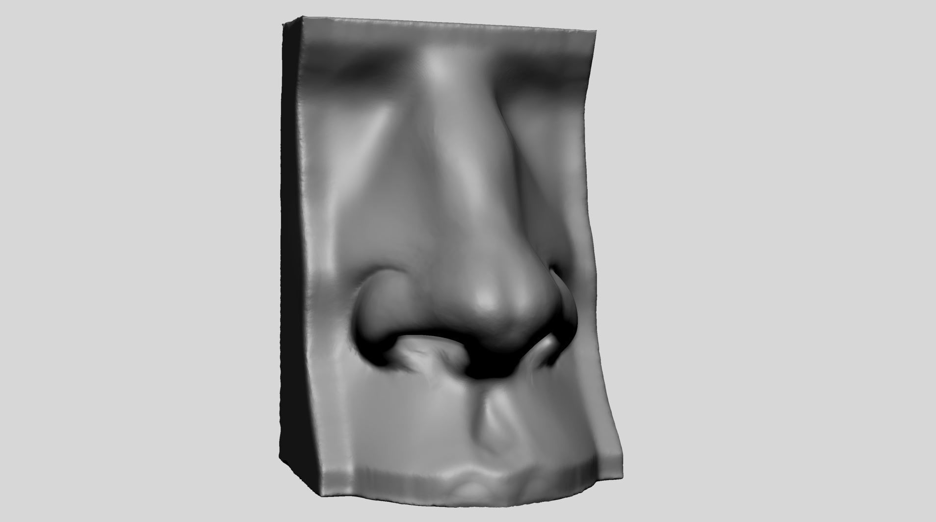 Nose Model with Different Types 3D model | CGTrader