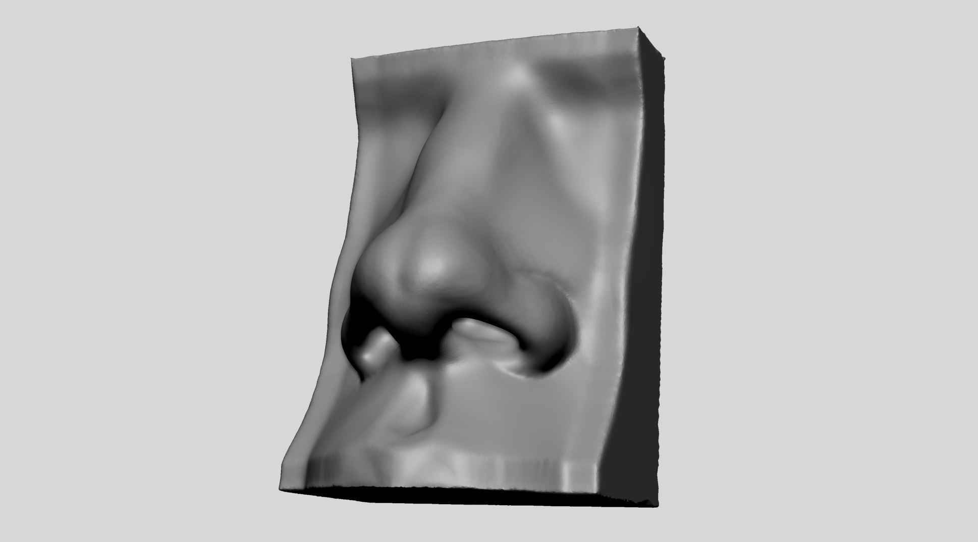 Nose Model with Different Types 3D model | CGTrader