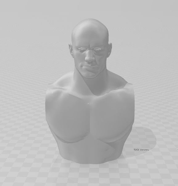 Randy Orton WWE Bust 3D model 3D printable | CGTrader