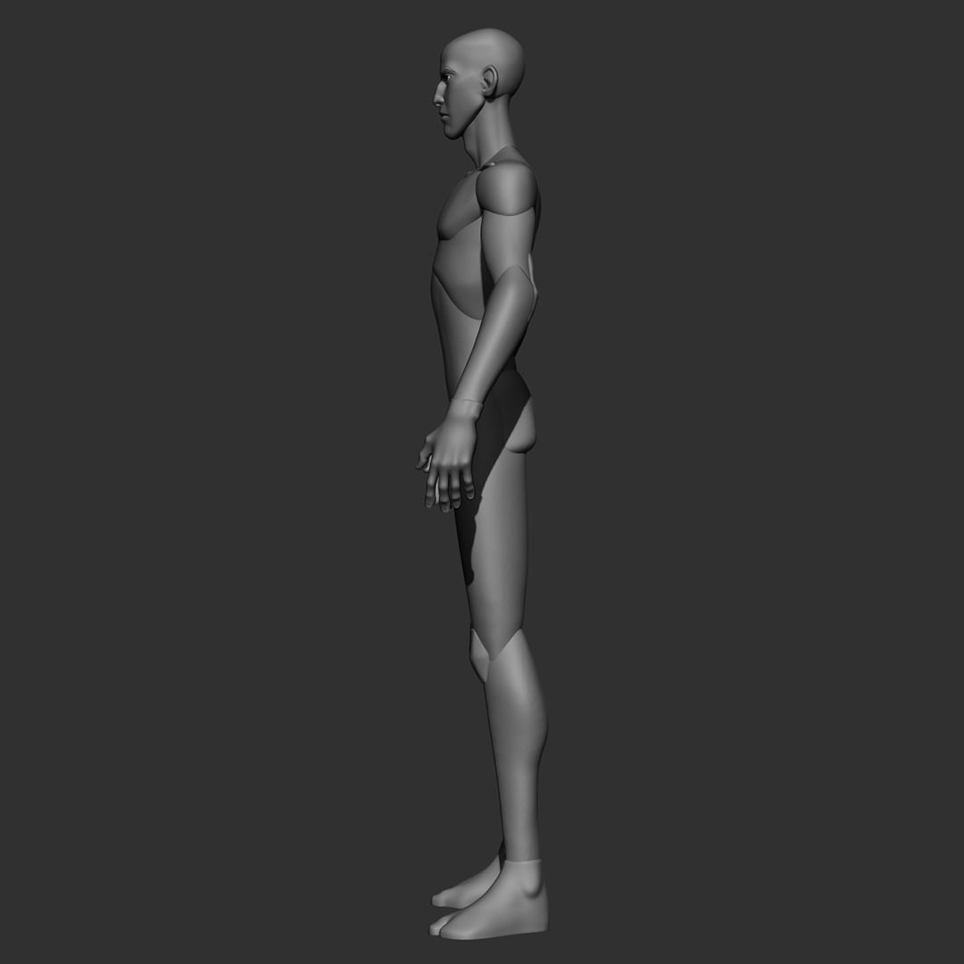 Skinny Basemesh 3D model | CGTrader