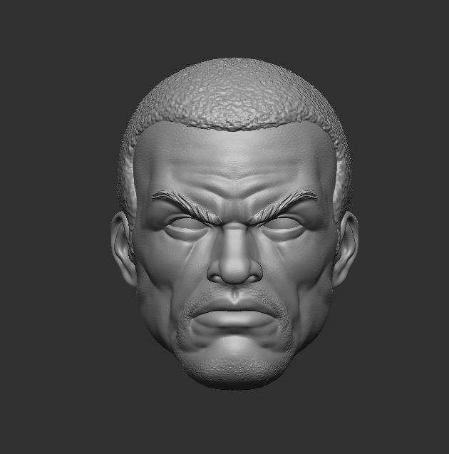 Calvin Ellis - Headsculpt for Action Figures 3D print model 3D model 3D ...