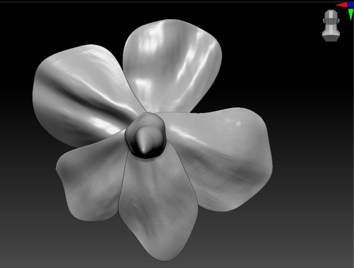 Magnolia Flower 3D model | CGTrader