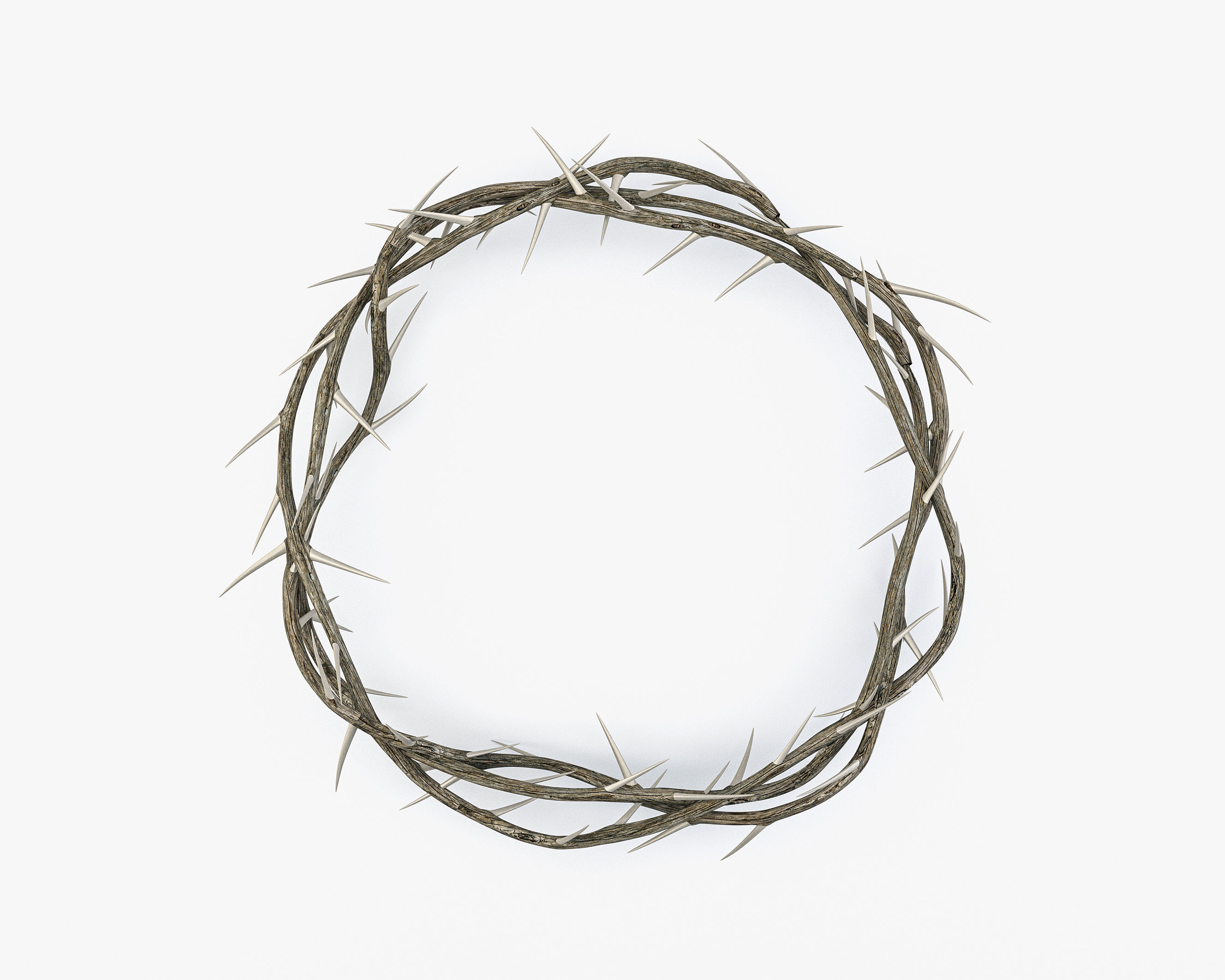 Crown Of Thorns 3D model | CGTrader