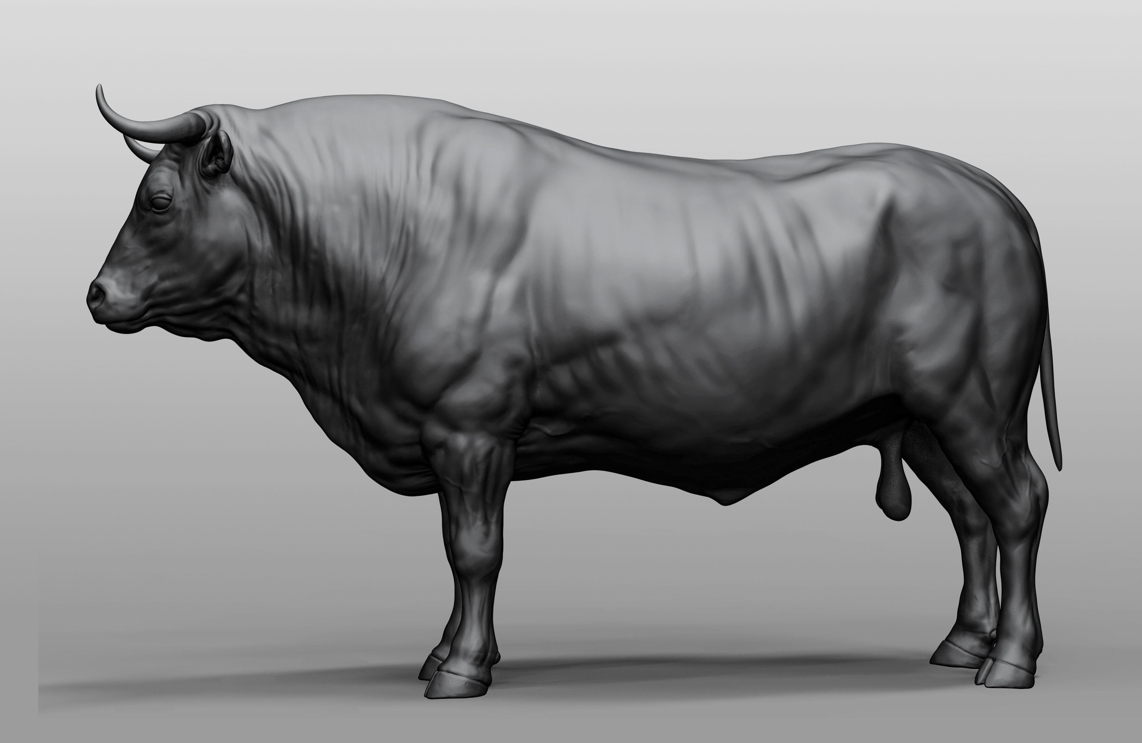 Domestic animal collection 3D model | CGTrader