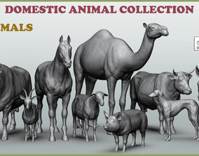 Animal 3D Models | CGTrader