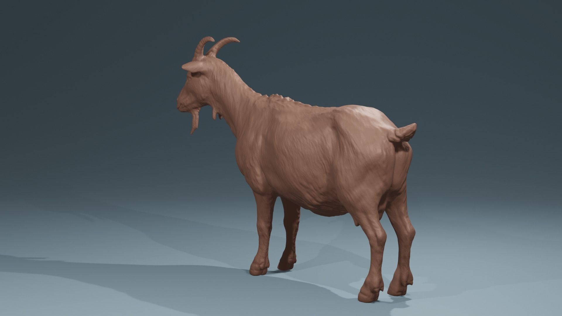 Standing Goat realistic farmanimal for printing Diorama 3D model 3D ...