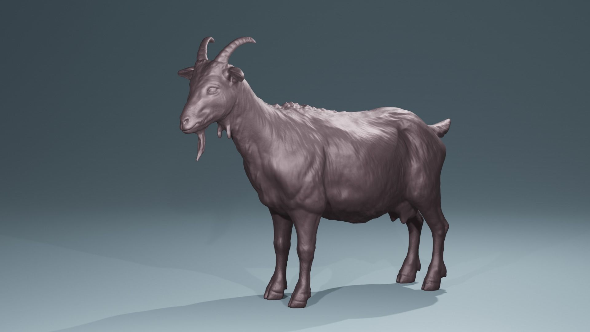 Standing Goat realistic farmanimal for printing Diorama 3D model 3D ...