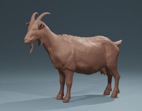 Goat 3D Printing Models | CGTrader