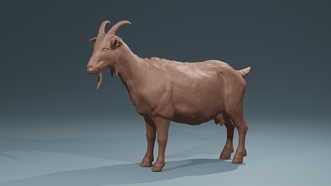 Standing Goat realistic farmanimal for printing Diorama 3D model 3D ...