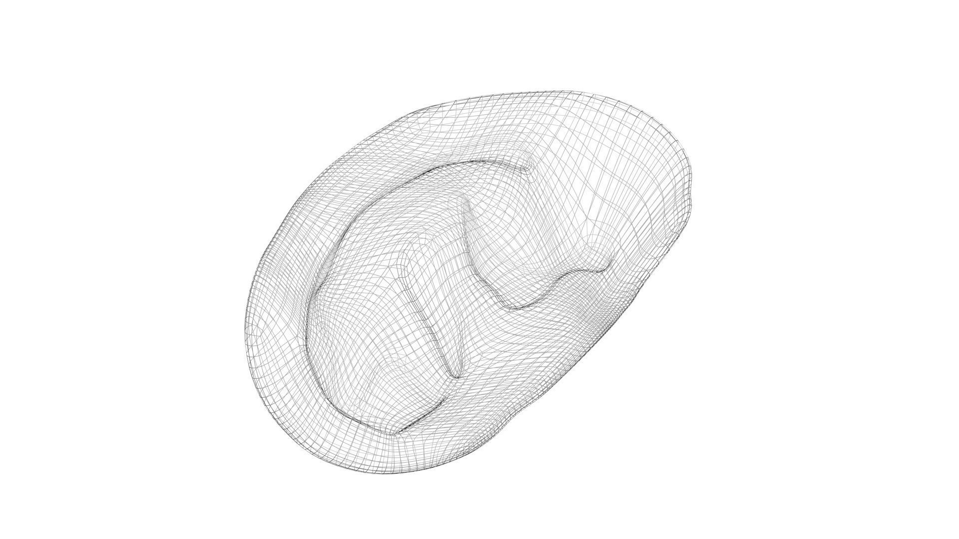 Human Ear 3D model | CGTrader