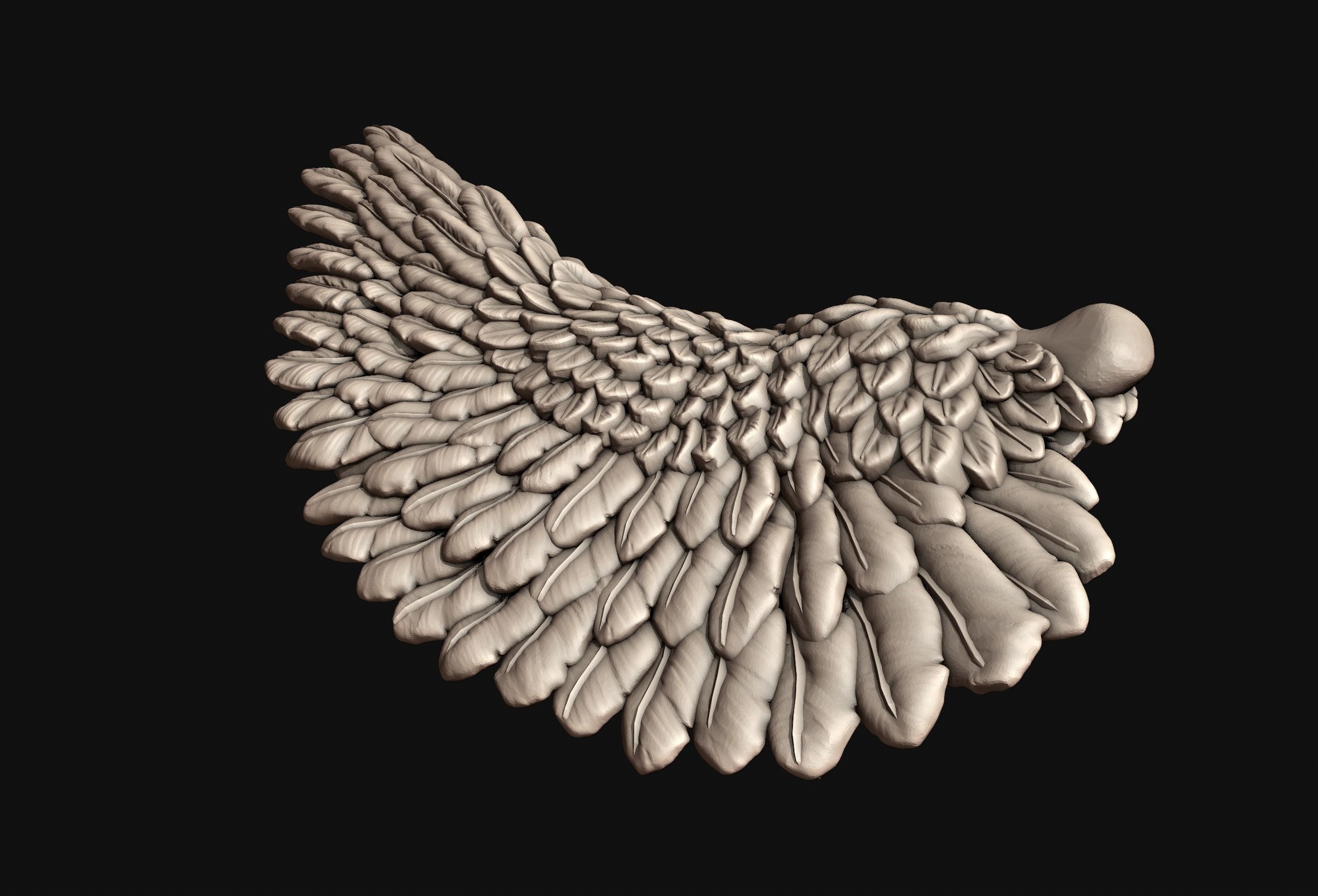 Wings Version 2 3D model 3D printable | CGTrader