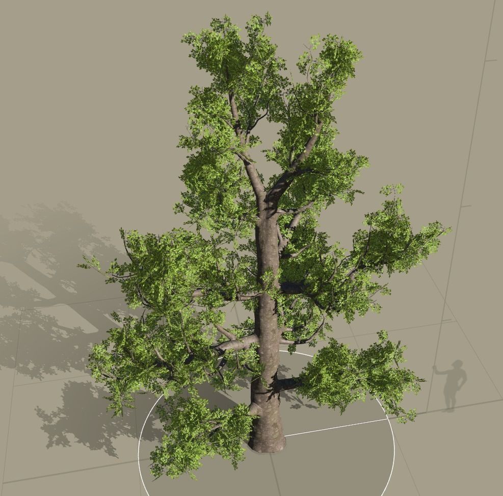 3D model tree speedtree VR / AR / low-poly | CGTrader