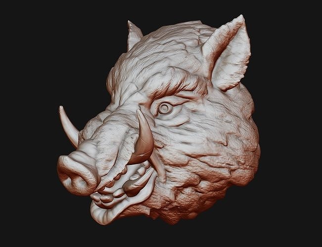 Boar head 3D model 3D printable | CGTrader