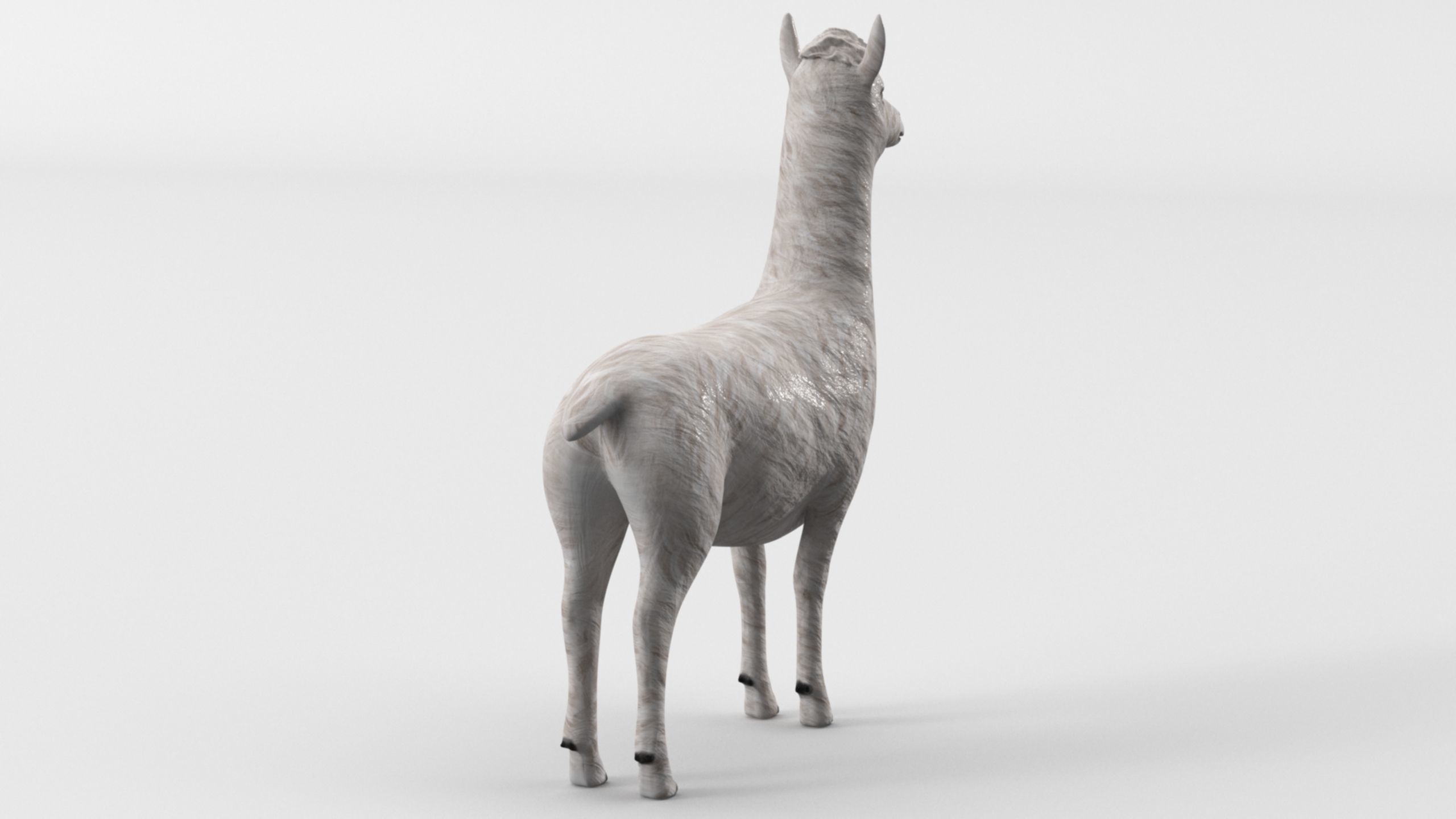 3D model Low Poly Animal Cartoon Lama - Alpaca - llama - Unwapped 4K VR ...
