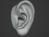 Human ear 3D model 3D printable | CGTrader