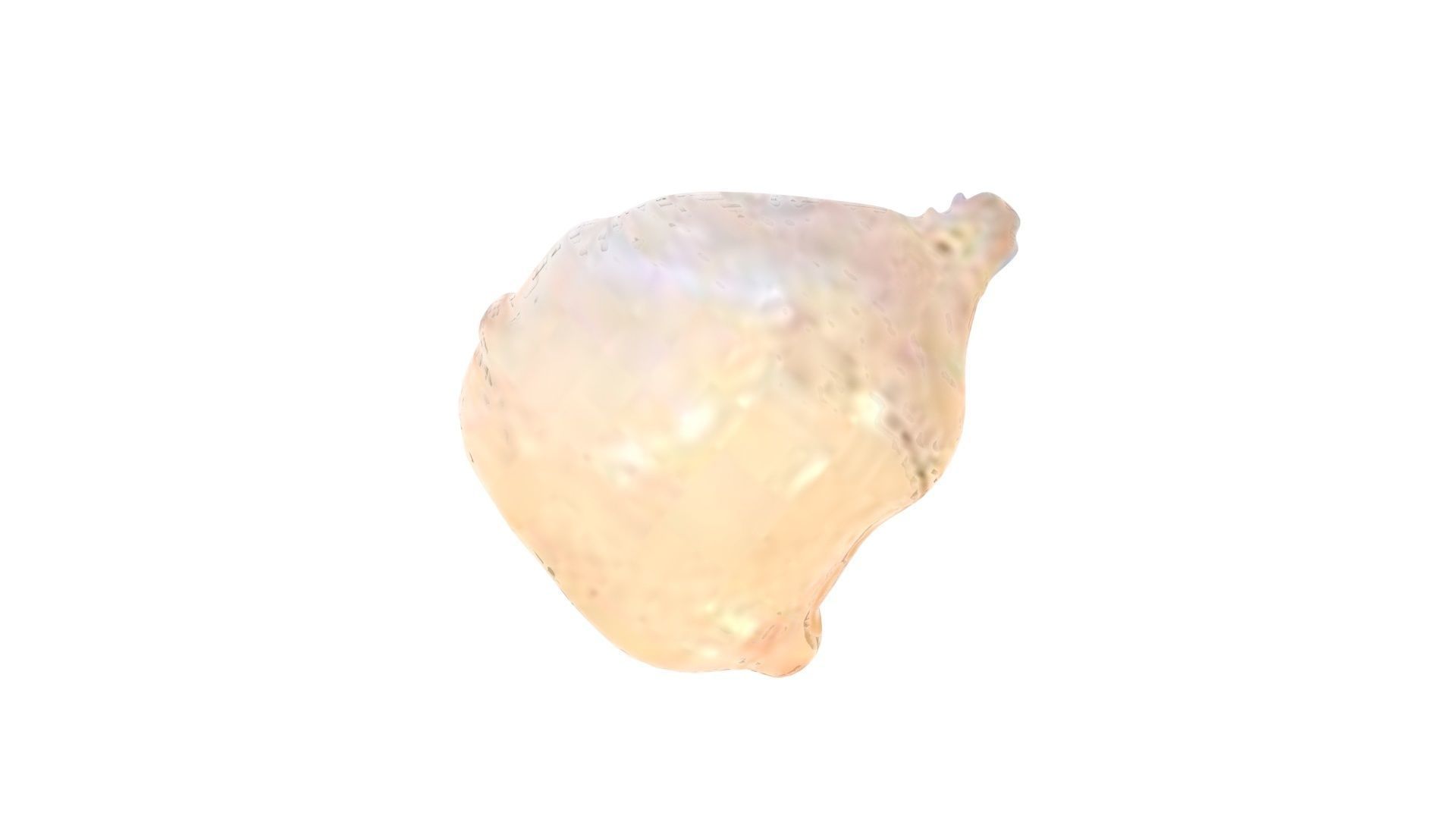 Human Urinary Bladder 3D model | CGTrader