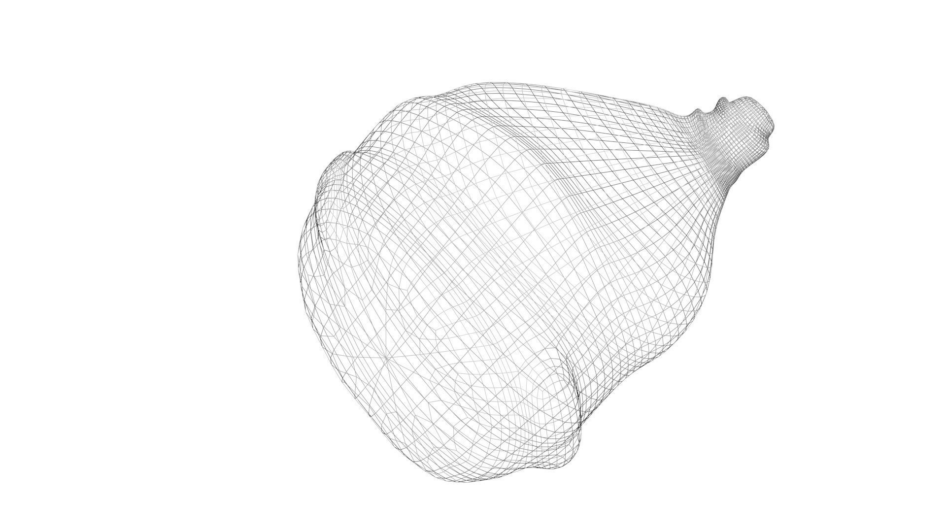 Human Urinary Bladder 3D model | CGTrader