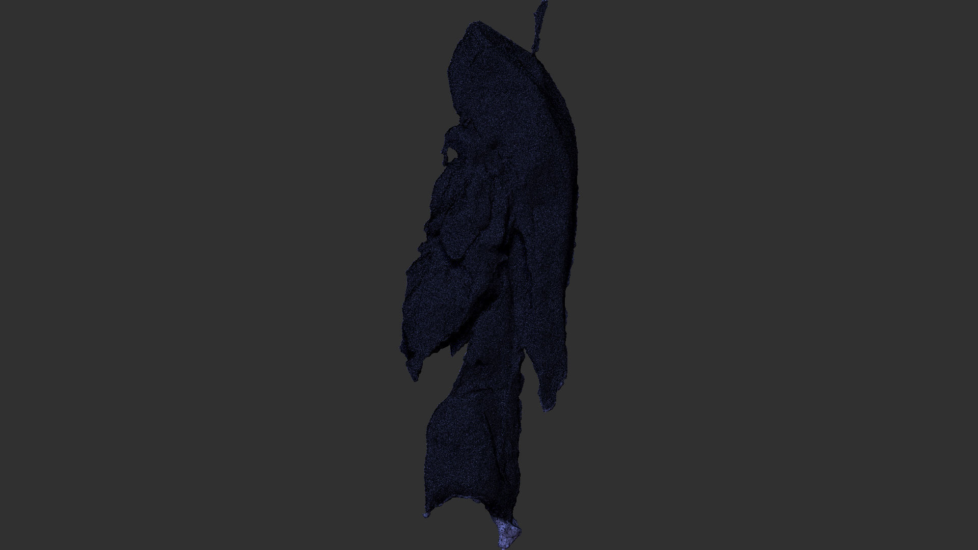 Hanging pork 3d Scan 3D model | CGTrader