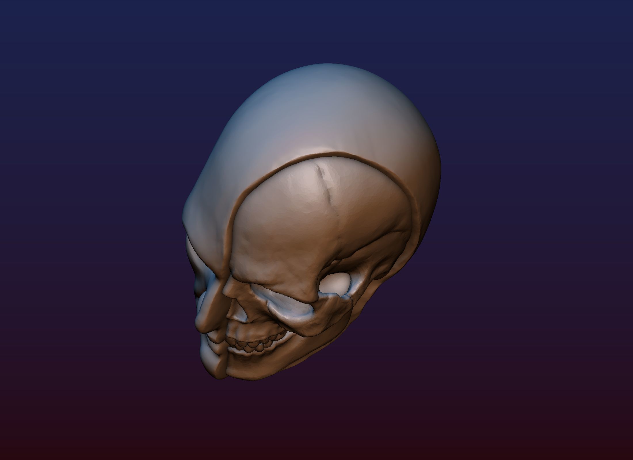 Half Face Two Face 3D model 3D printable | CGTrader