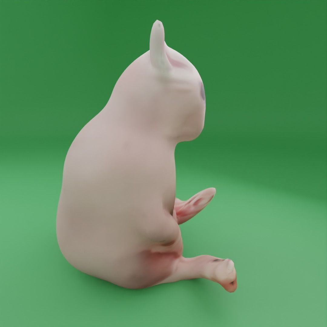 BINGUS 3D Model cat free VR / AR / low-poly 3D model | CGTrader