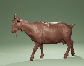 Goat 3D Printing Models | CGTrader