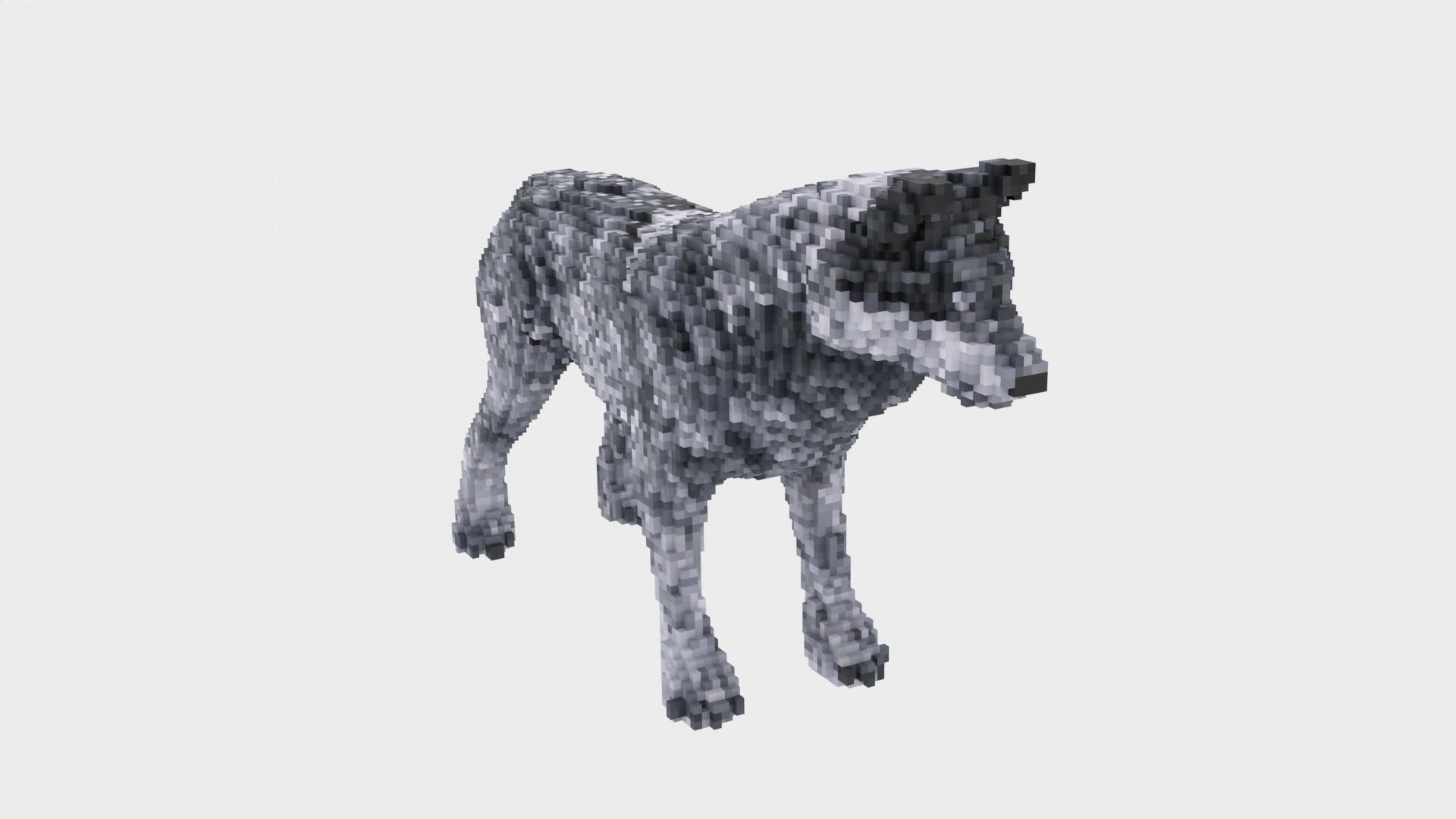 3D model Wolf Voxel Style VR / AR / low-poly | CGTrader