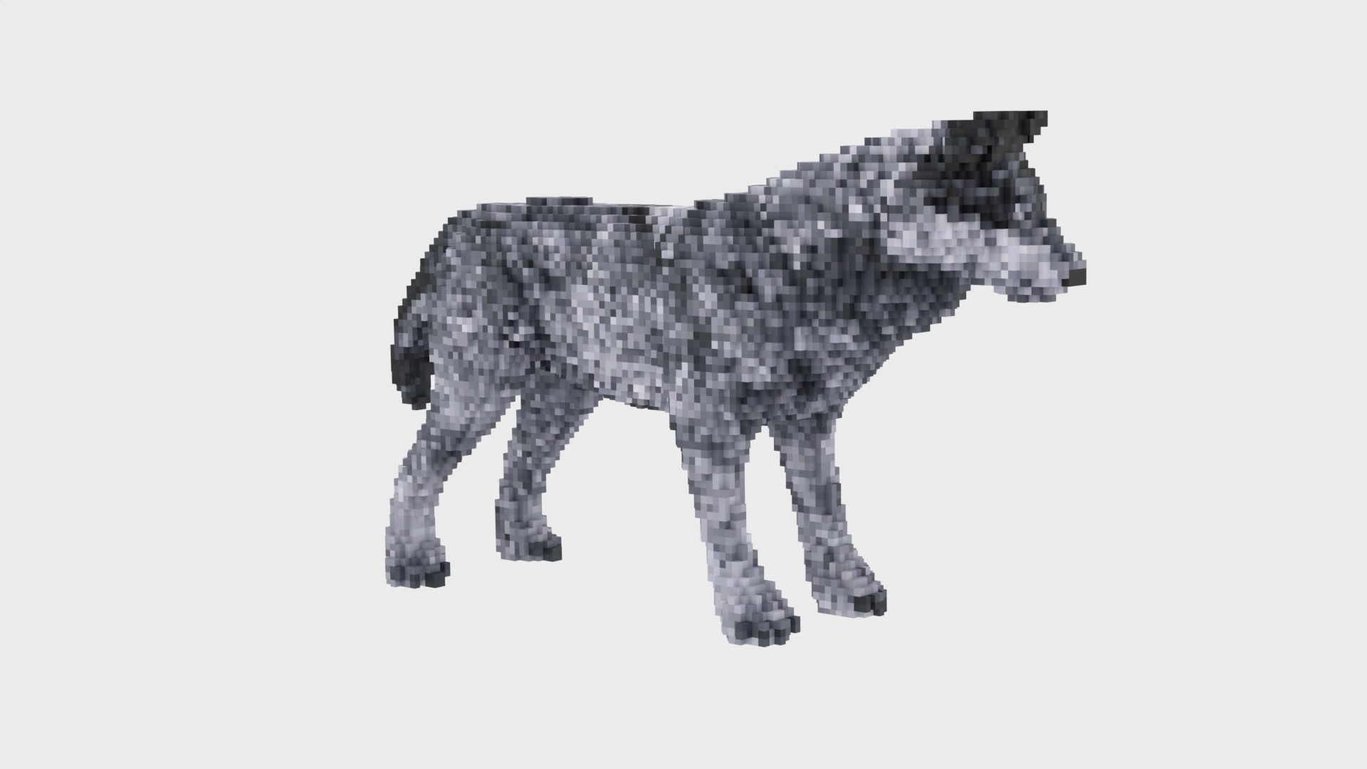 3D model Wolf Voxel Style VR / AR / low-poly | CGTrader