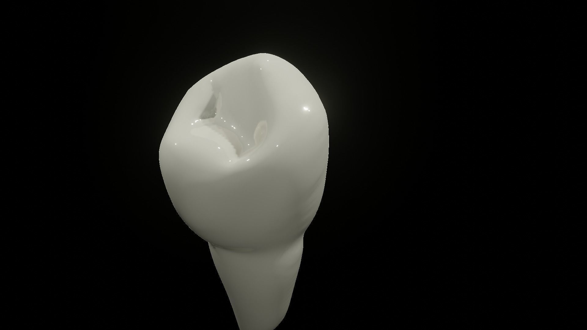 Mandibular First Premolar 3D model | CGTrader