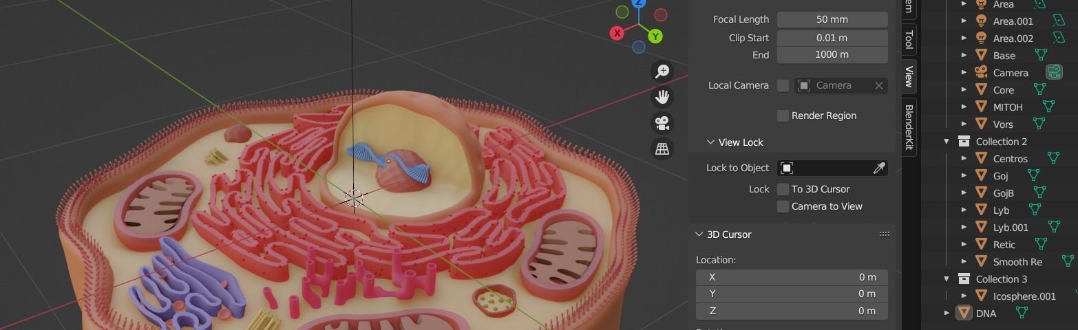 Human cell ready for 3d printing 3D model 3D printable | CGTrader