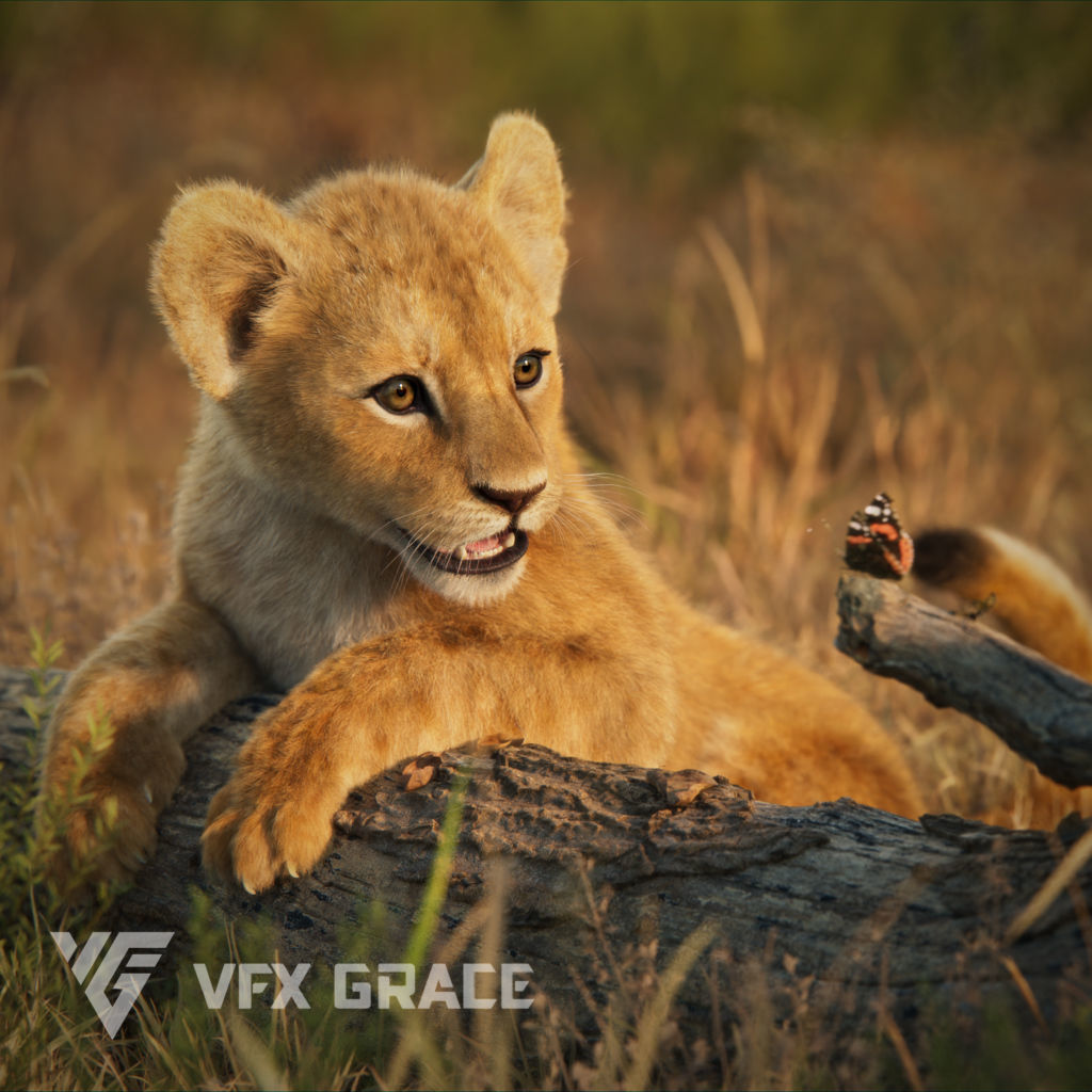 Lion Cub Animated VFX Grace 3D model animated rigged | CGTrader