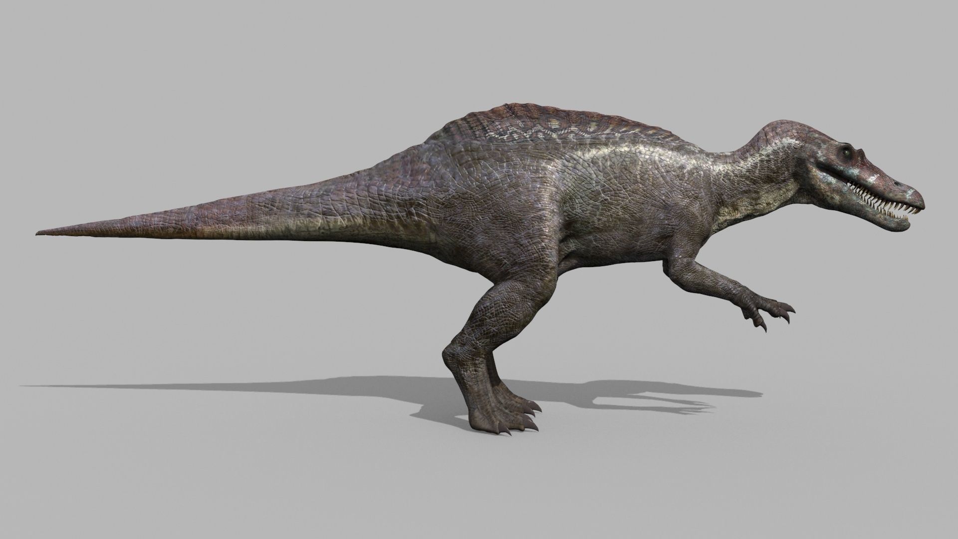 Suchomimus Tenerensis - 8K animated 3D model animated rigged | CGTrader