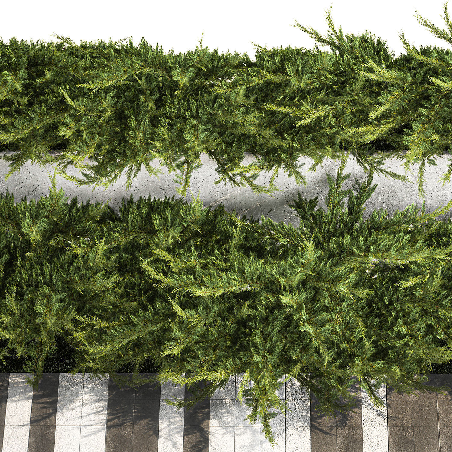 Cypress and juniper for the urban environment 1168 3D model | CGTrader