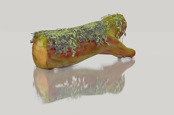 3D model Fallen tree with foliage VR / AR / low-poly | CGTrader