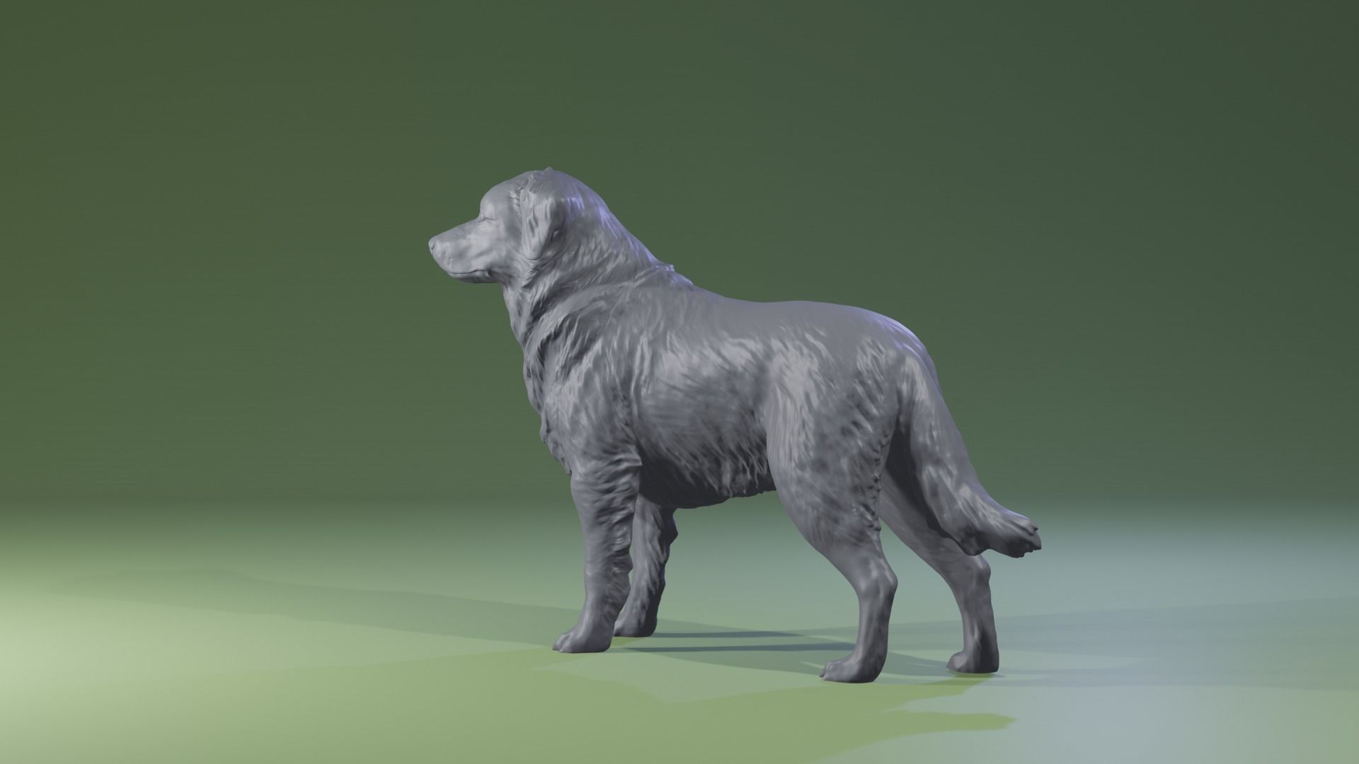 Realistic Australian Shepherd dog standing for diorama 3D model 3D ...