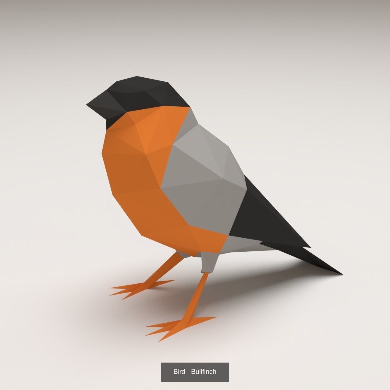Printable Birds 3D Model Collection | CGTrader