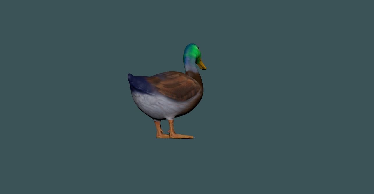 3D model Duck Animated VFX Grace Low-poly VR / AR / low-poly | CGTrader