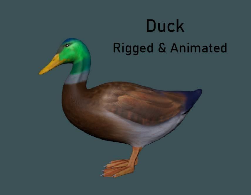 3D model Duck Animated VFX Grace Low-poly VR / AR / low-poly | CGTrader