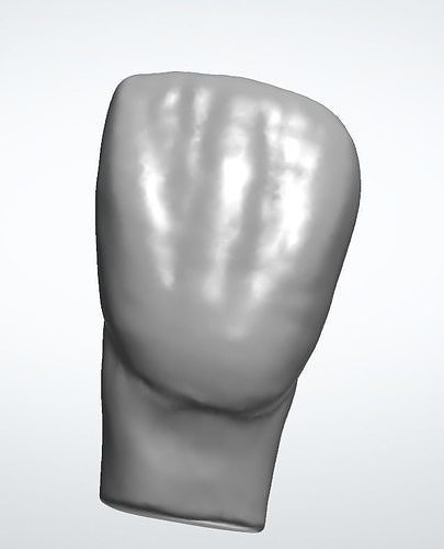 Dental morphology-first incisor 3D model | CGTrader