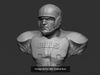 NFL Throwback Busts 3D Model Collection | CGTrader