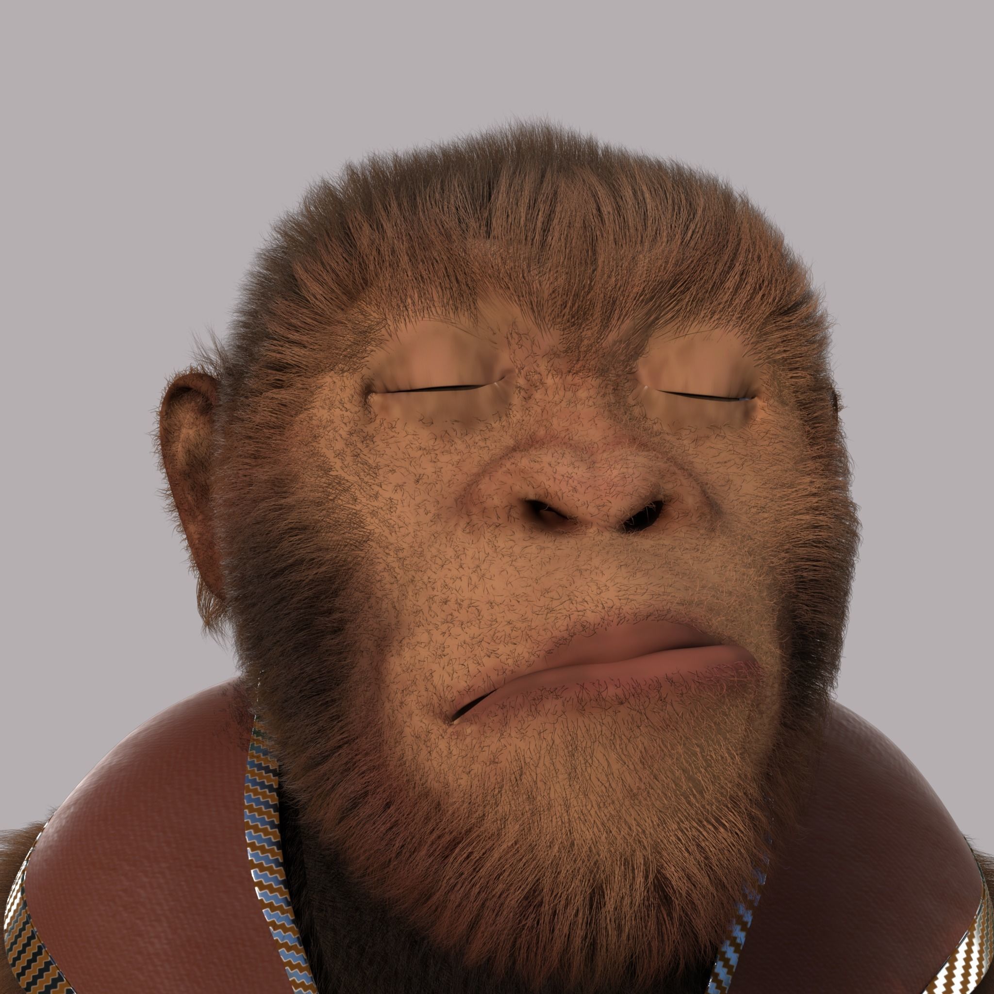 Cartoon Monkey Rigged 3D model rigged | CGTrader