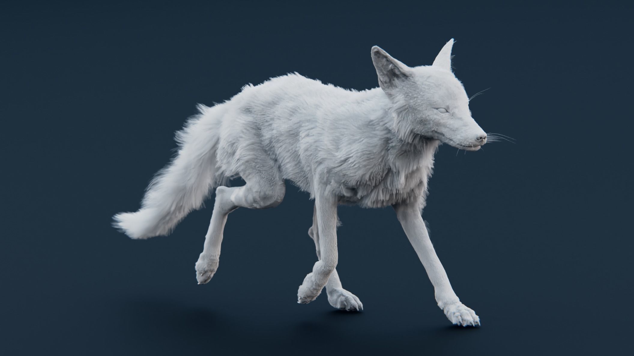 red fox 3D model animated rigged | CGTrader