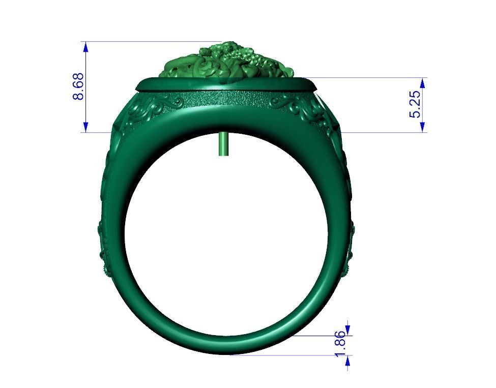 Ring undead Pirate snakes wind rose anchor 3D model 3D printable | CGTrader